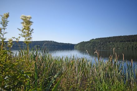 Vorbereitungen der Sanierung des HRB Ratscher laufen - Thüringer ...